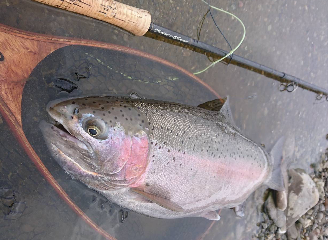 北海道 Fishing guide ikor (北海道 フィッシングガイド イコロ)