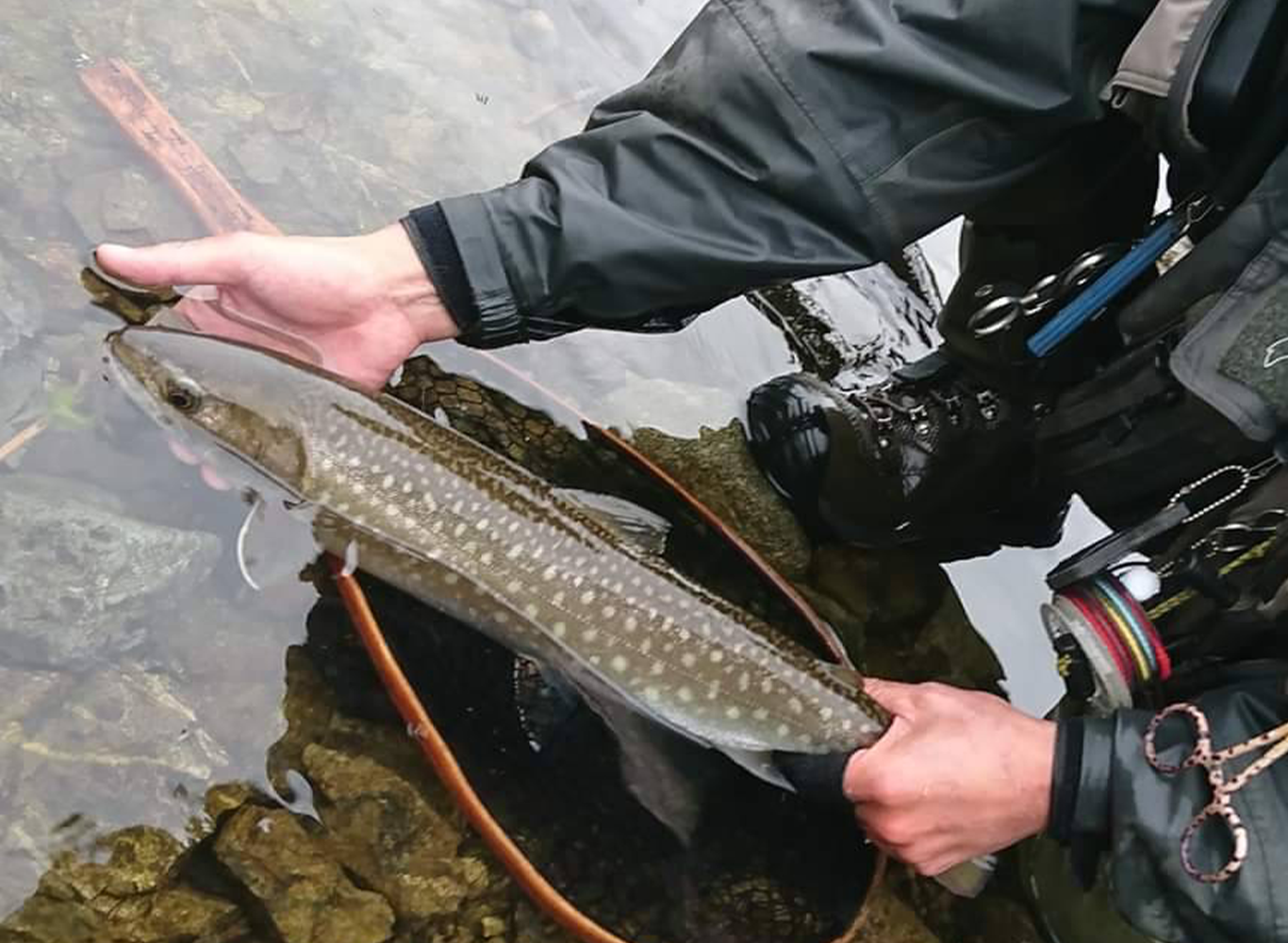 北海道 Fishing guide ikor (北海道 フィッシングガイド イコロ)