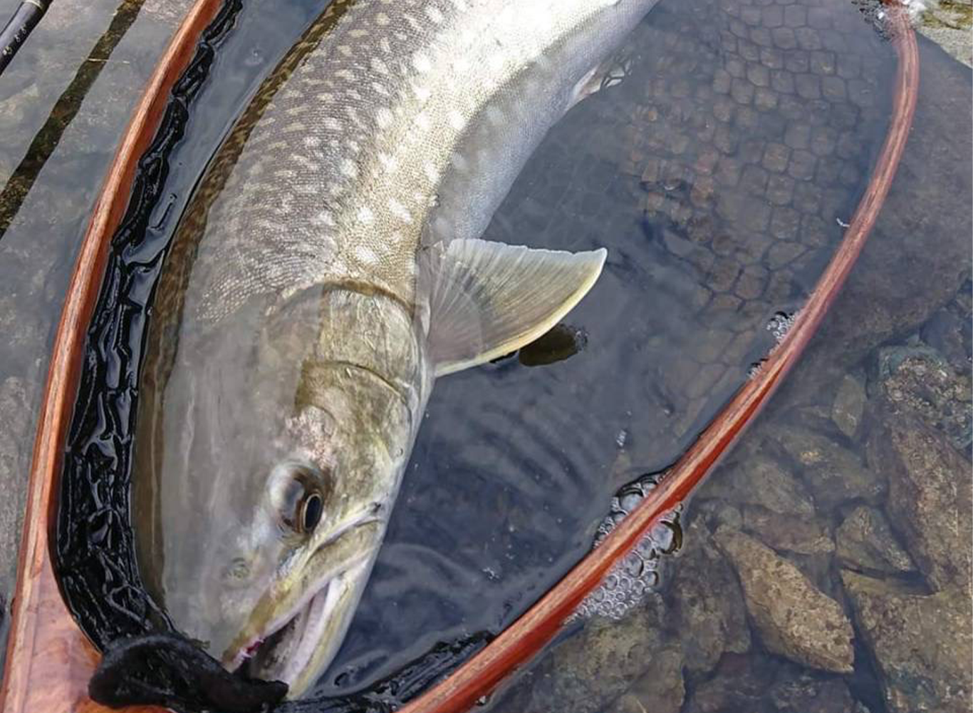 北海道 Fishing guide ikor (北海道 フィッシングガイド イコロ)